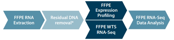 Lexogens RNA-seq solutions for FFPE cancer studies